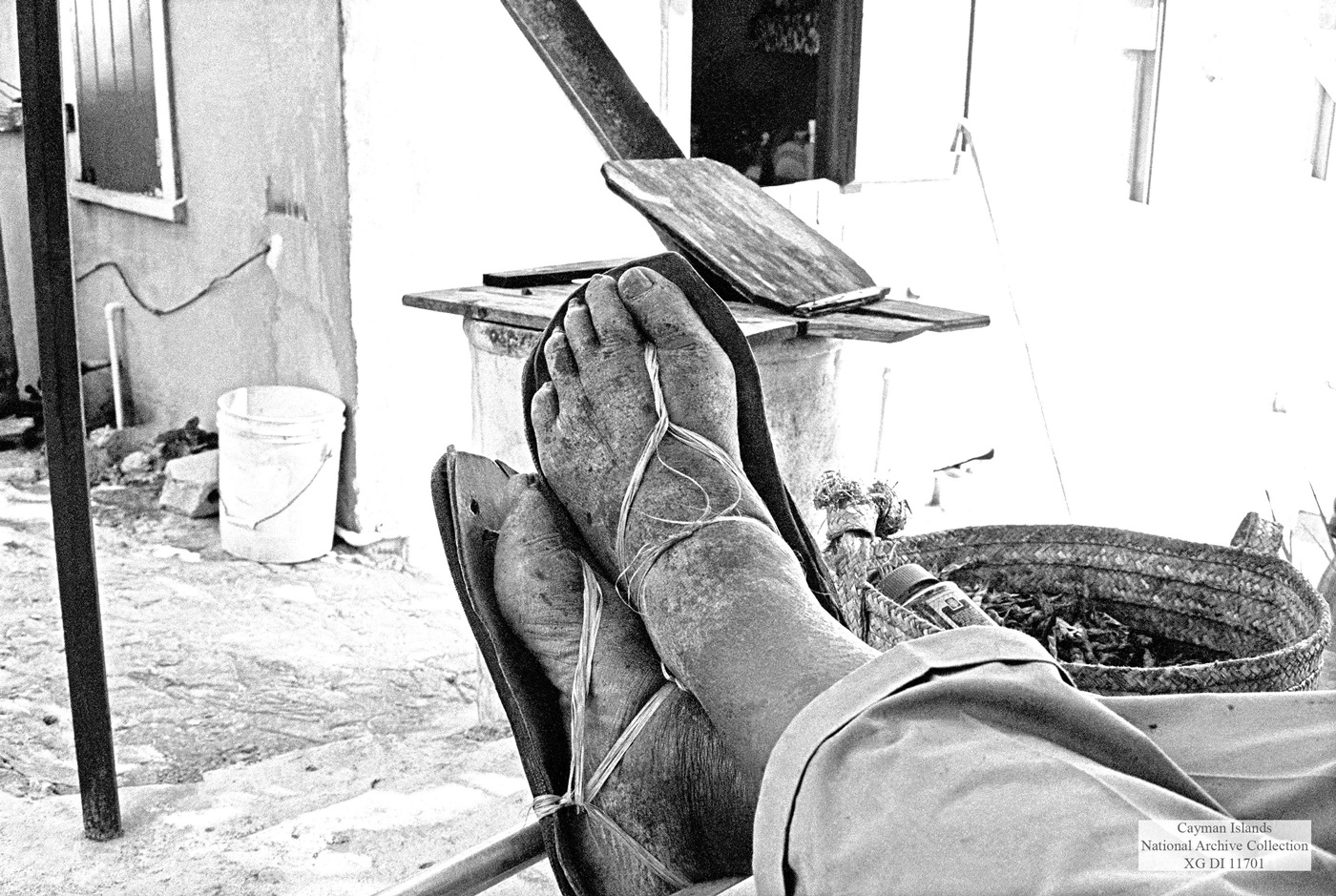 Wompers - Cayman Compass