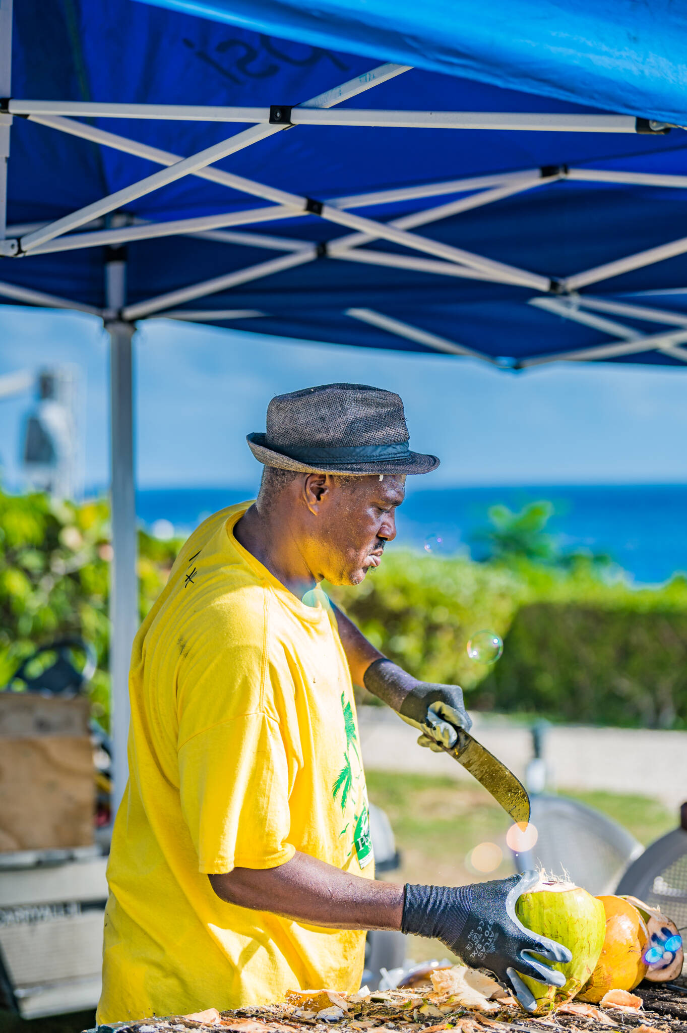 Coco Fest 2022-0022 - Cayman Compass