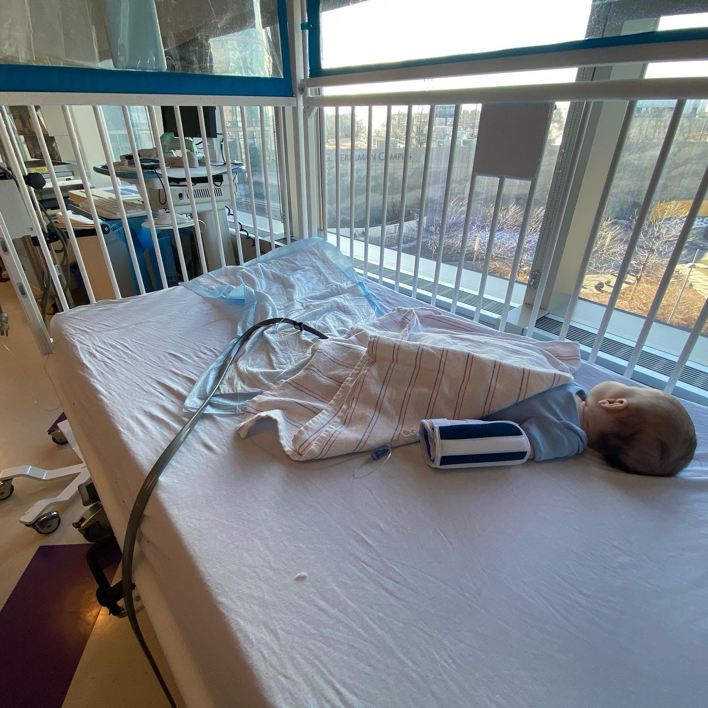 Baby Violet infusion CHOP - Cayman Compass