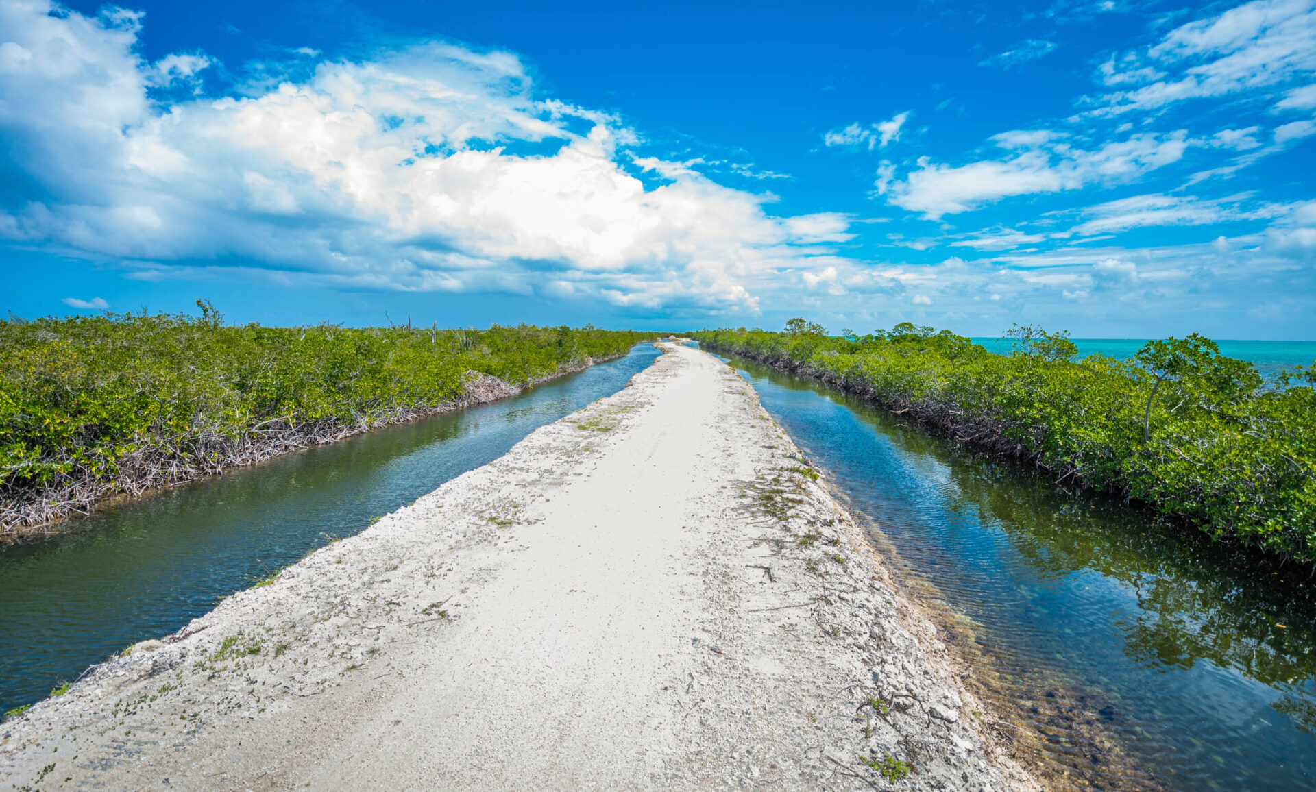 The issue explained: Putting a price on nature - Cayman Compass
