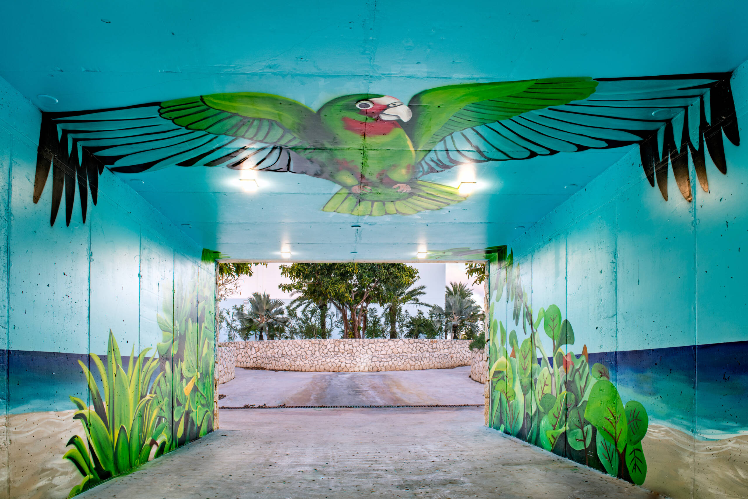 Pedestrian underpass murals in Camana Bay celebrate education and art ...