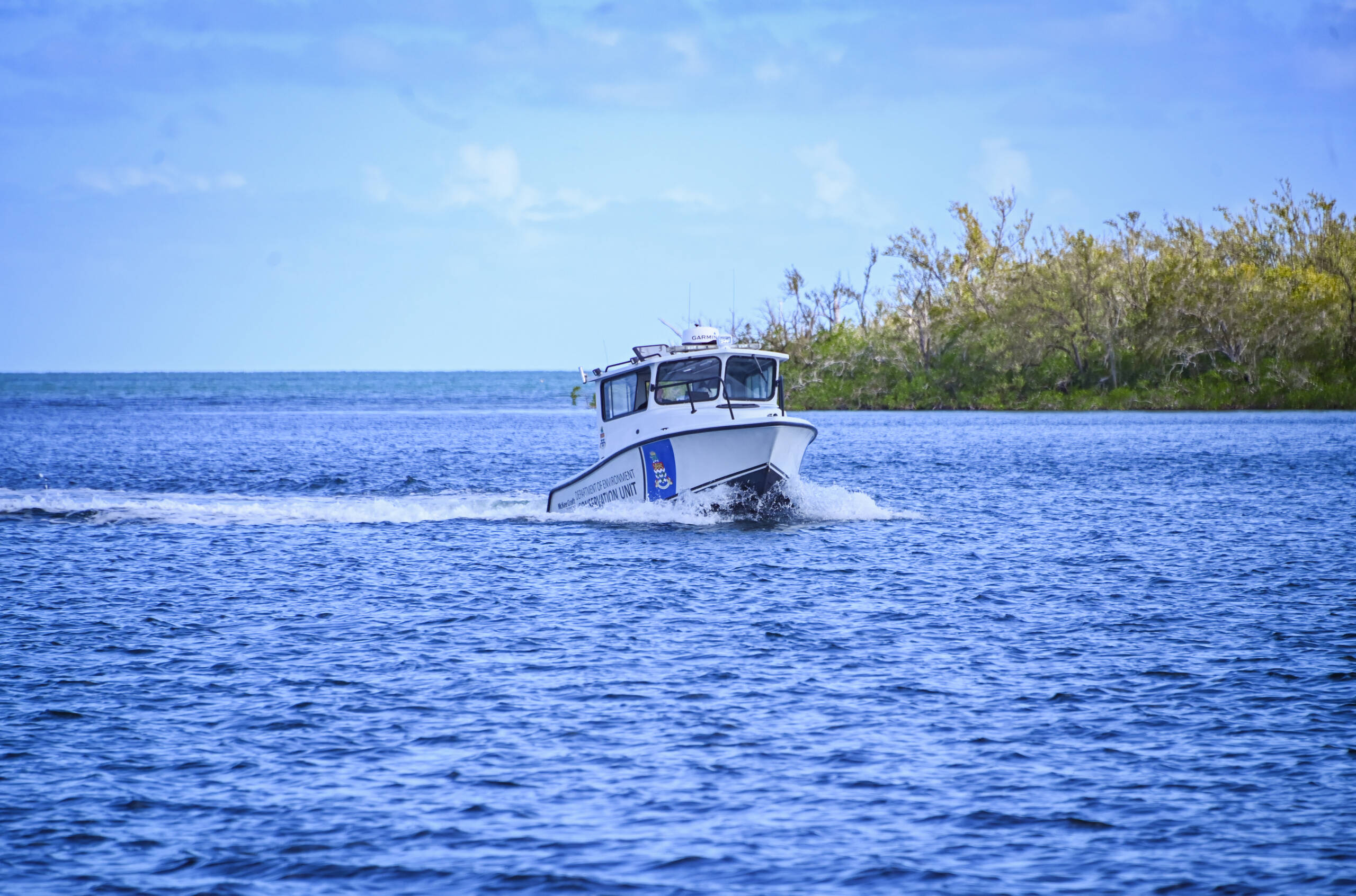 Organised poaching gangs threaten survival of key species - Cayman Compass