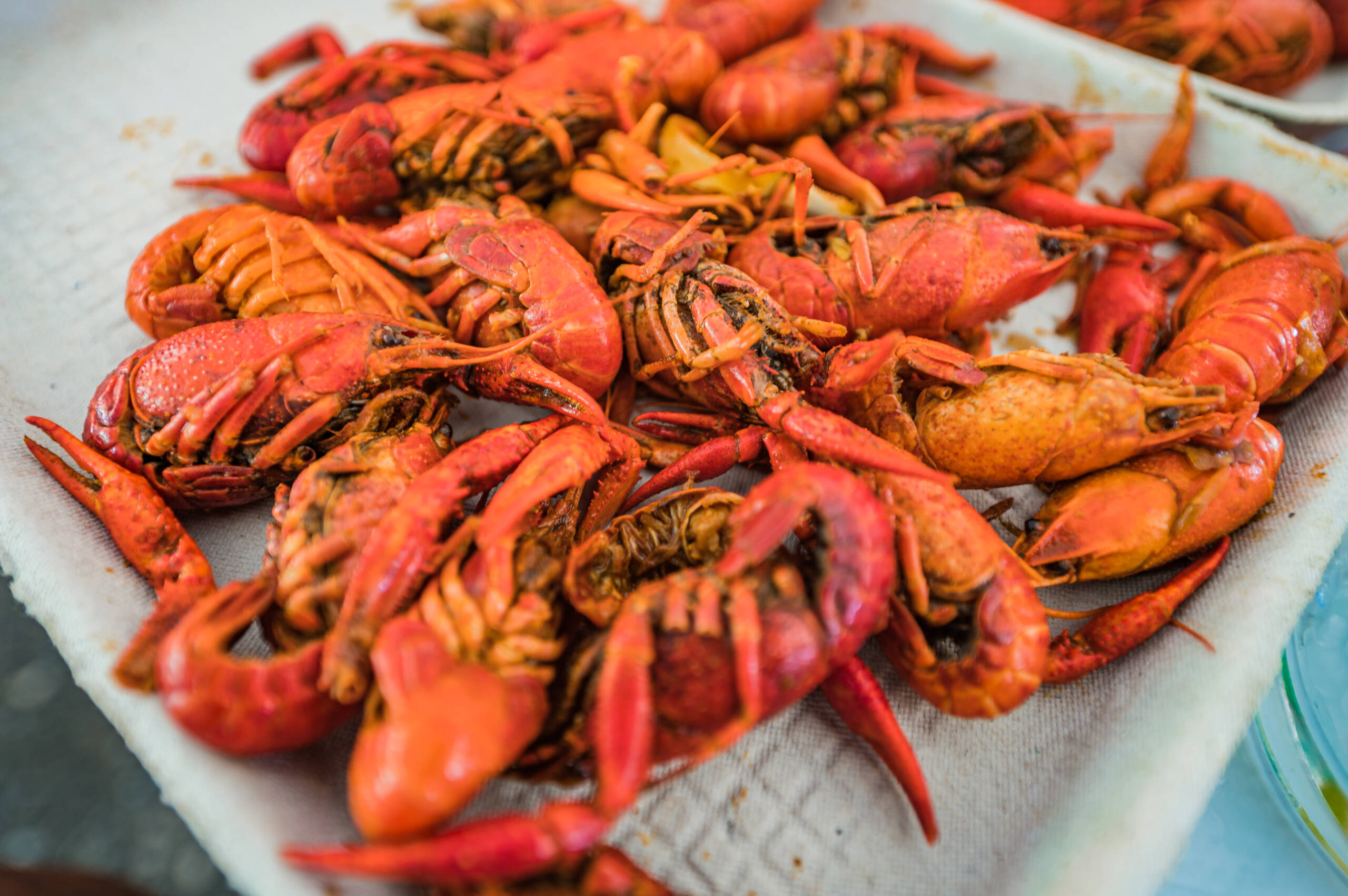 Annual crawfish boil proves a cracking event - Cayman Compass