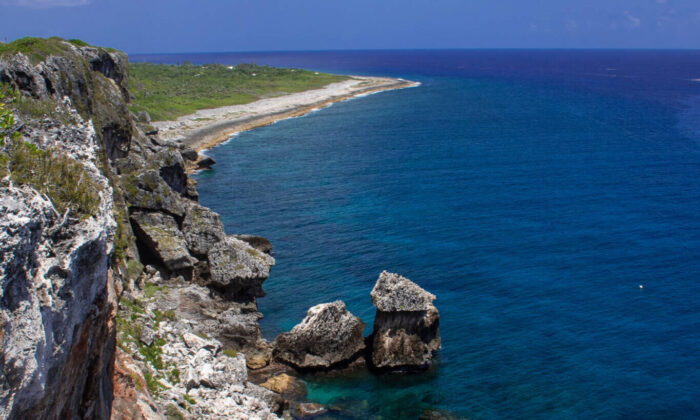 On Earth Day, a look at Cayman's unique environment - Cayman Compass