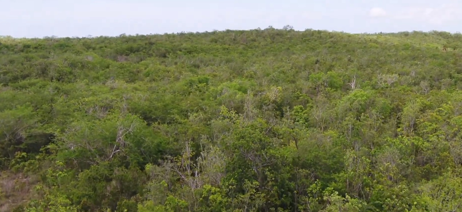 North Side Ridge - Cayman Compass