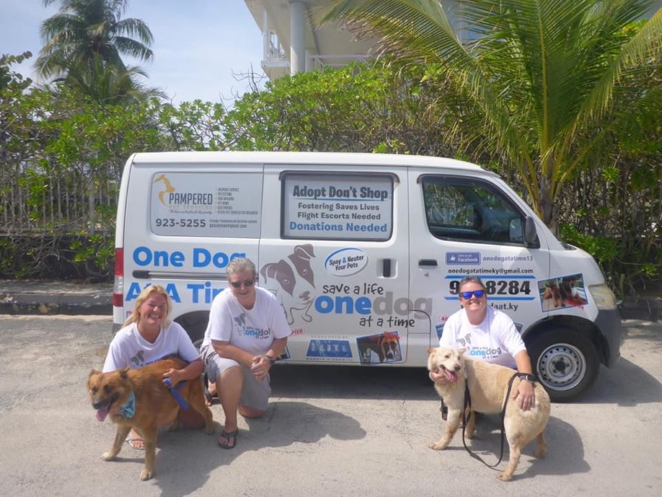 Animal charity plea for new van - Cayman Compass
