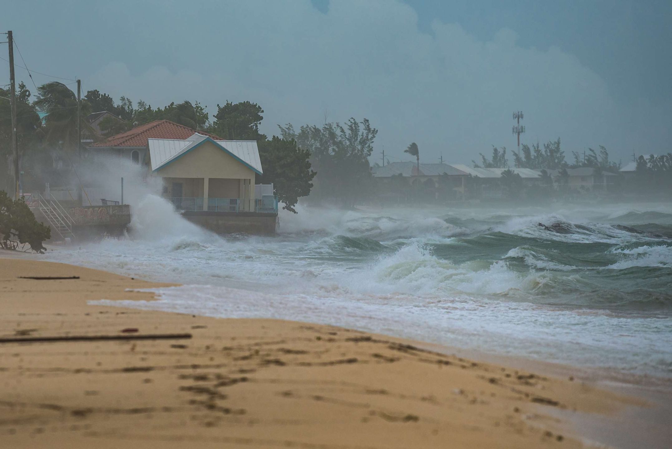 Storms and lack of turtle-friendly lighting take toll on turtles ...