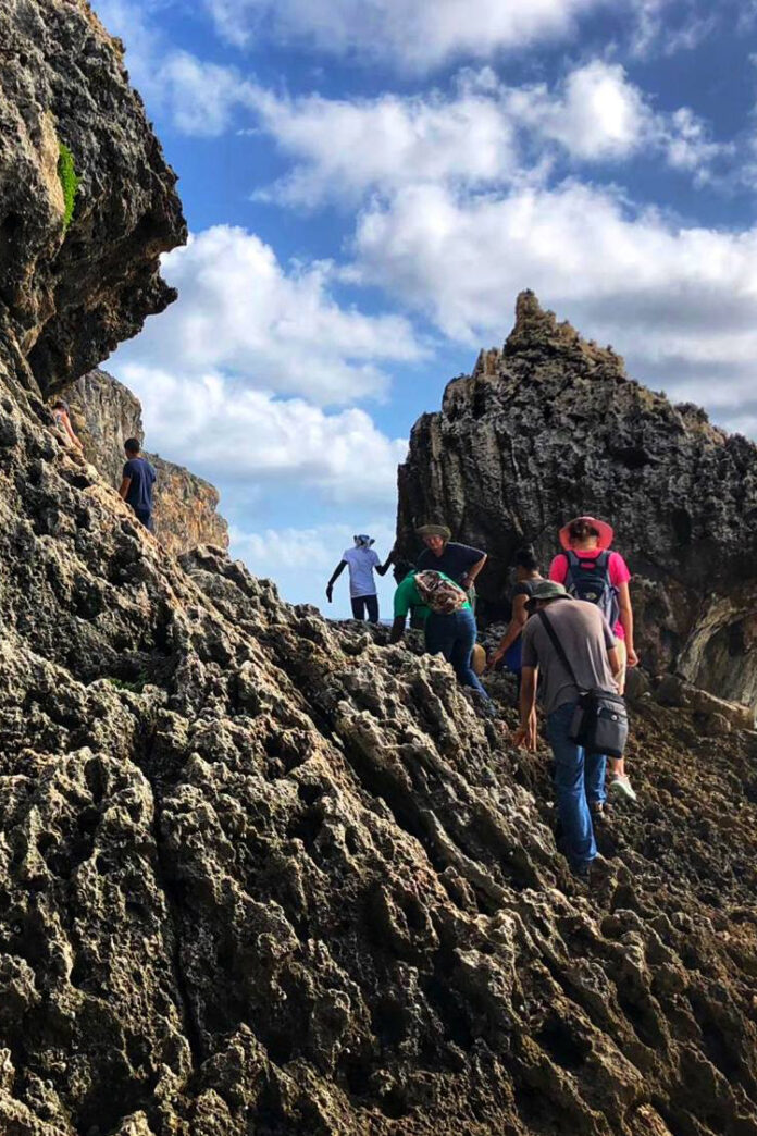 Geology Week returns after 4-year hiatus - Cayman Compass