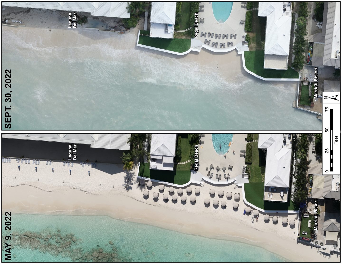 As storms reshape the coastline, how can Cayman protect its beaches ...