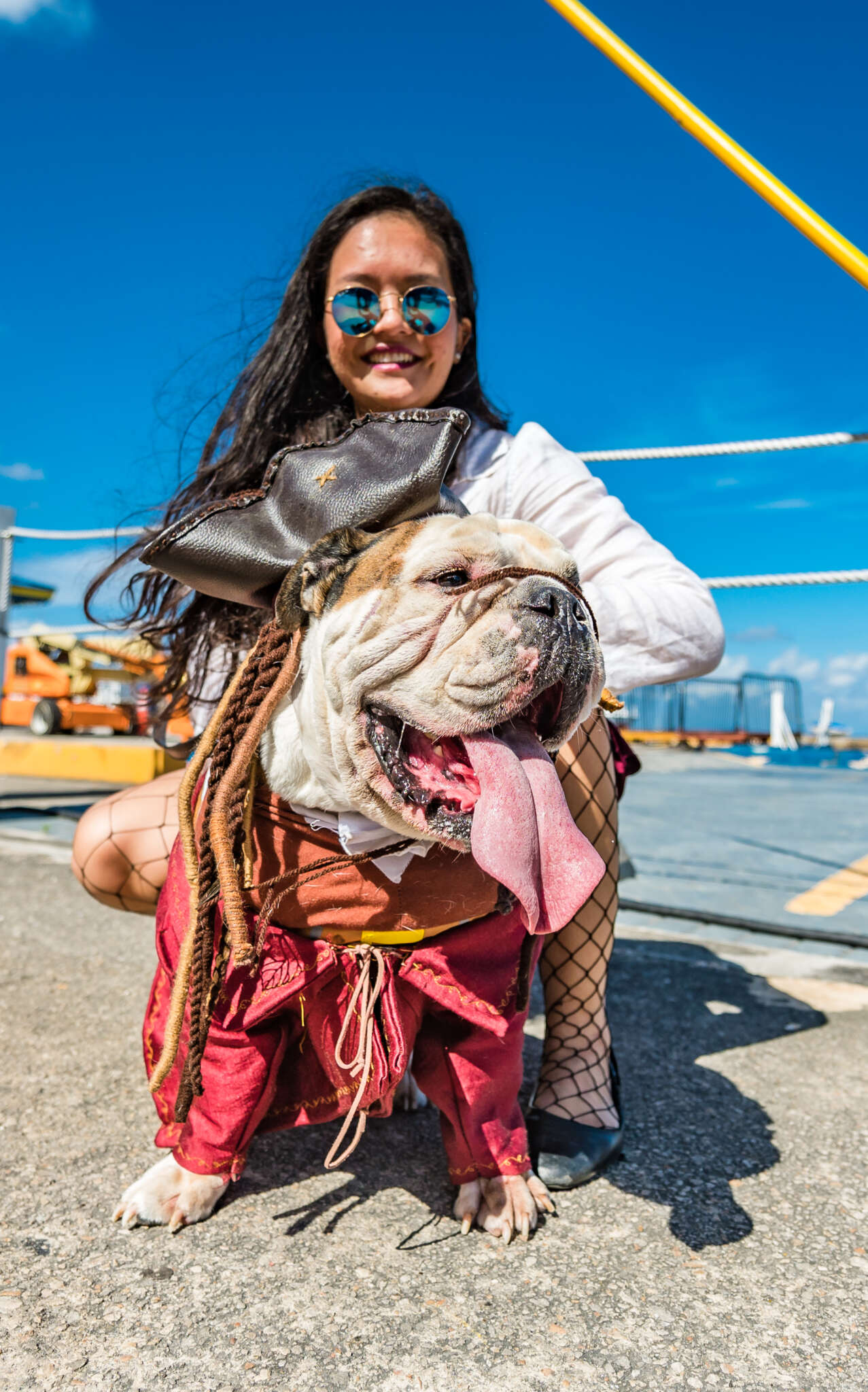 Pirates, pooches and pyrotechnics as festival comes to a close - Cayman ...