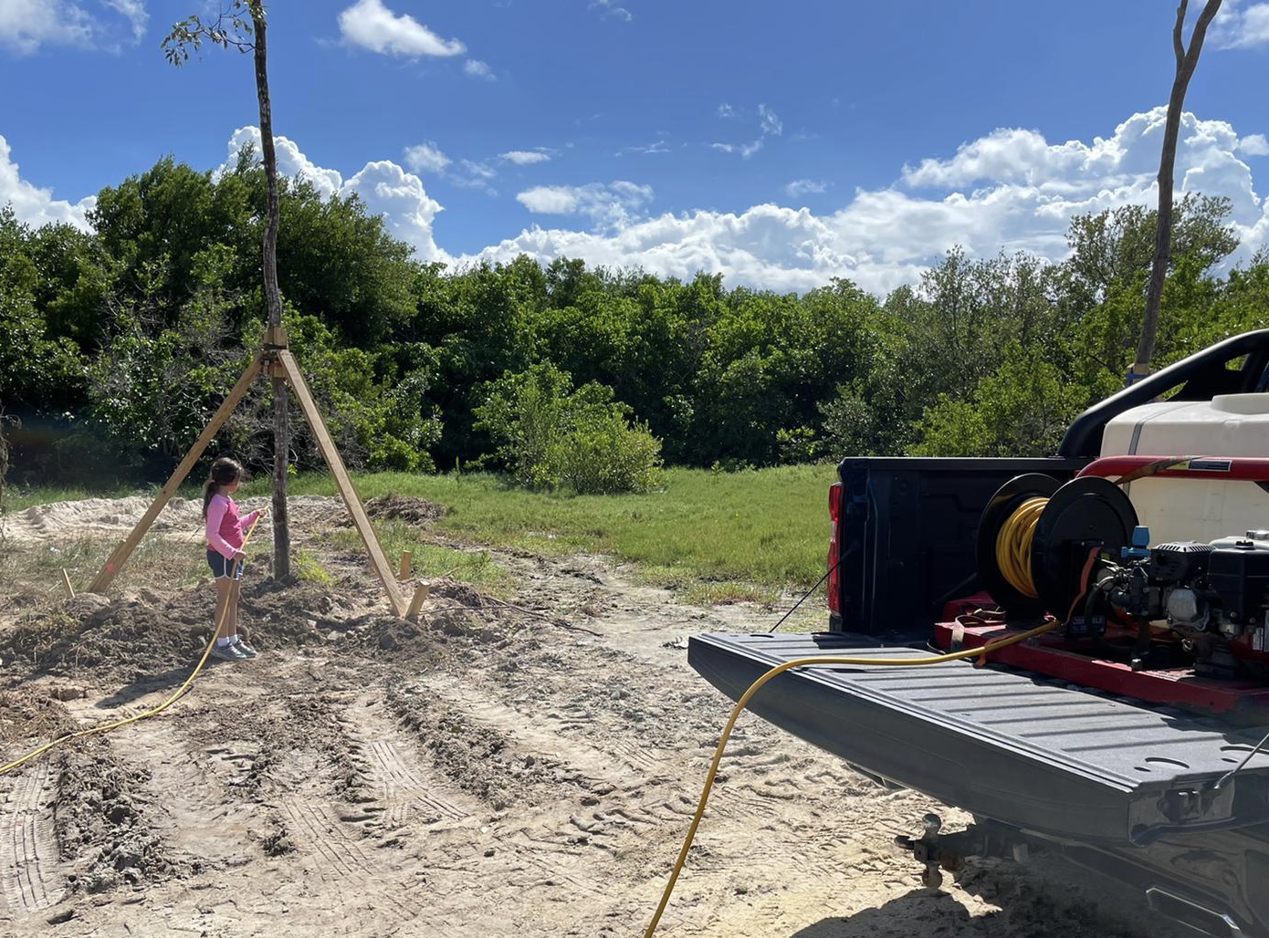 Pilot project to replant mahogany in Barkers - Cayman Compass