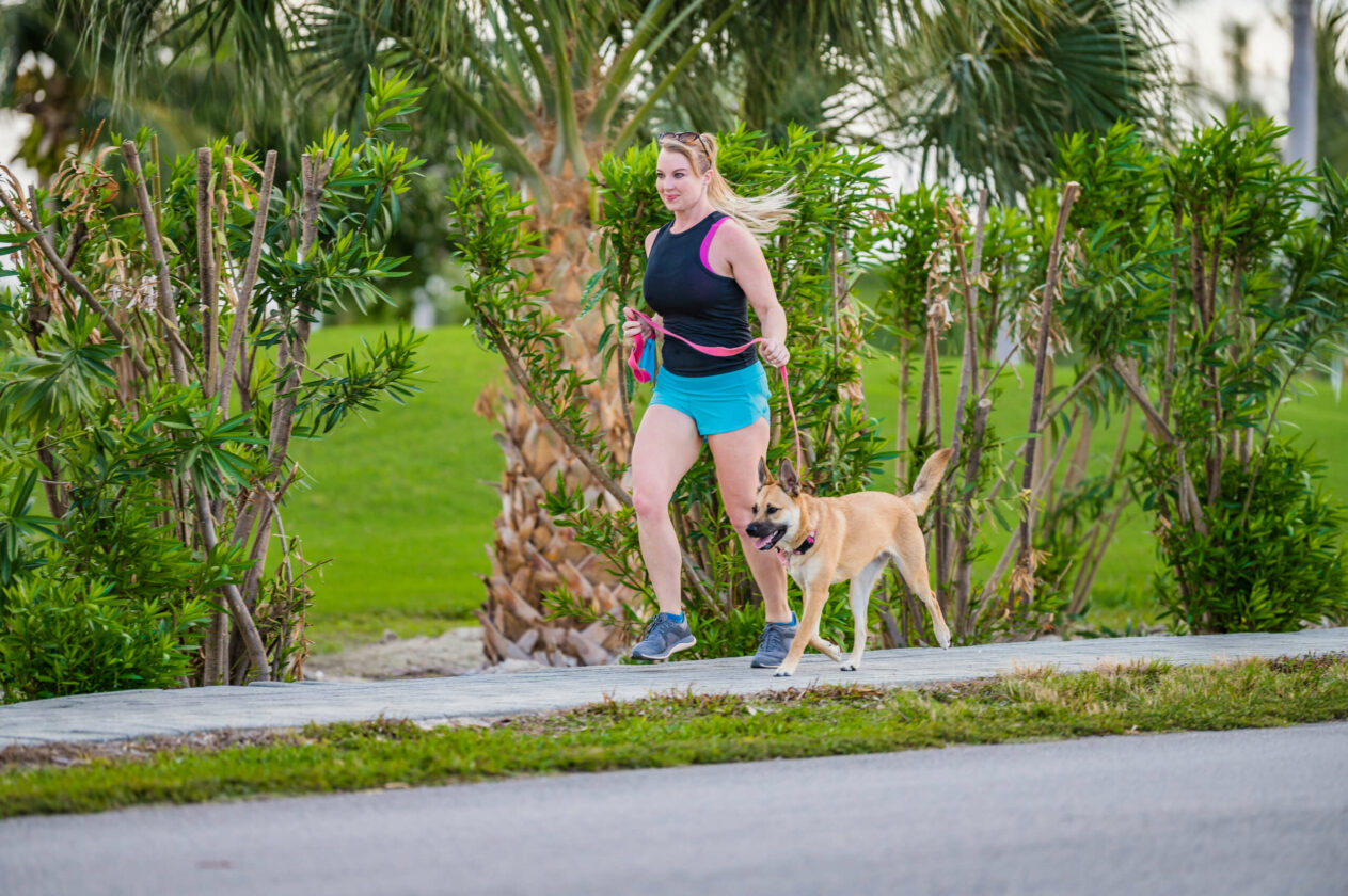 Photos | One Dog Jog raises funds for charity's vet bills - Cayman Compass