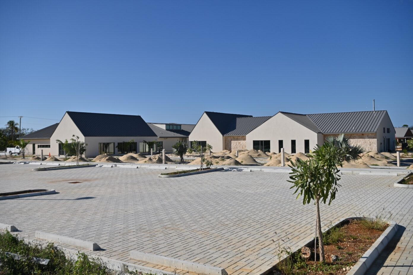 'Frustrated' Dr. Marc Lockhart leaves Mental Health Commission post ...