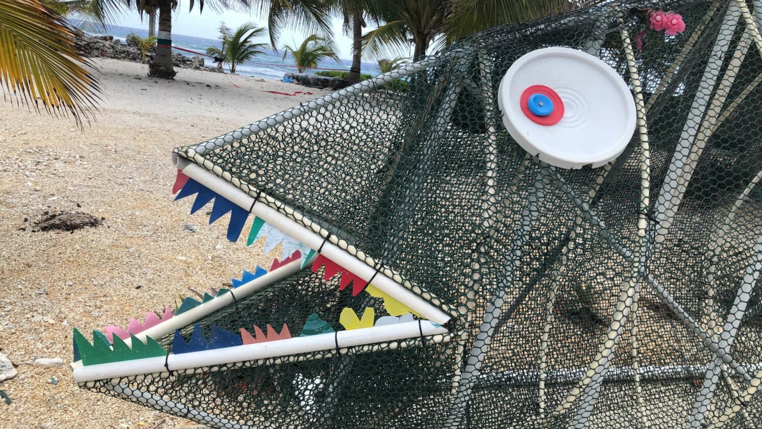 Feeding Dory: 'Plastic-eating' fish celebrates 3rd birthday - Cayman ...