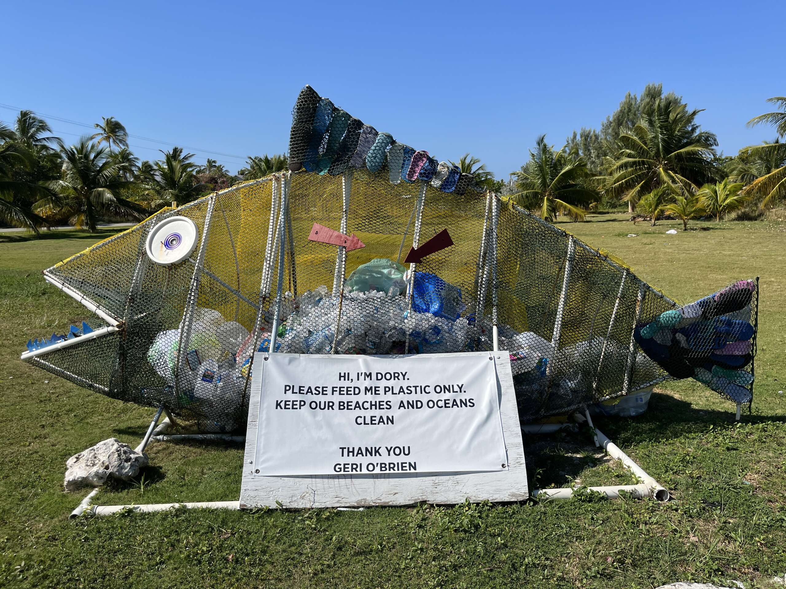 Feeding Dory: 'Plastic-eating' fish celebrates 3rd birthday - Cayman ...
