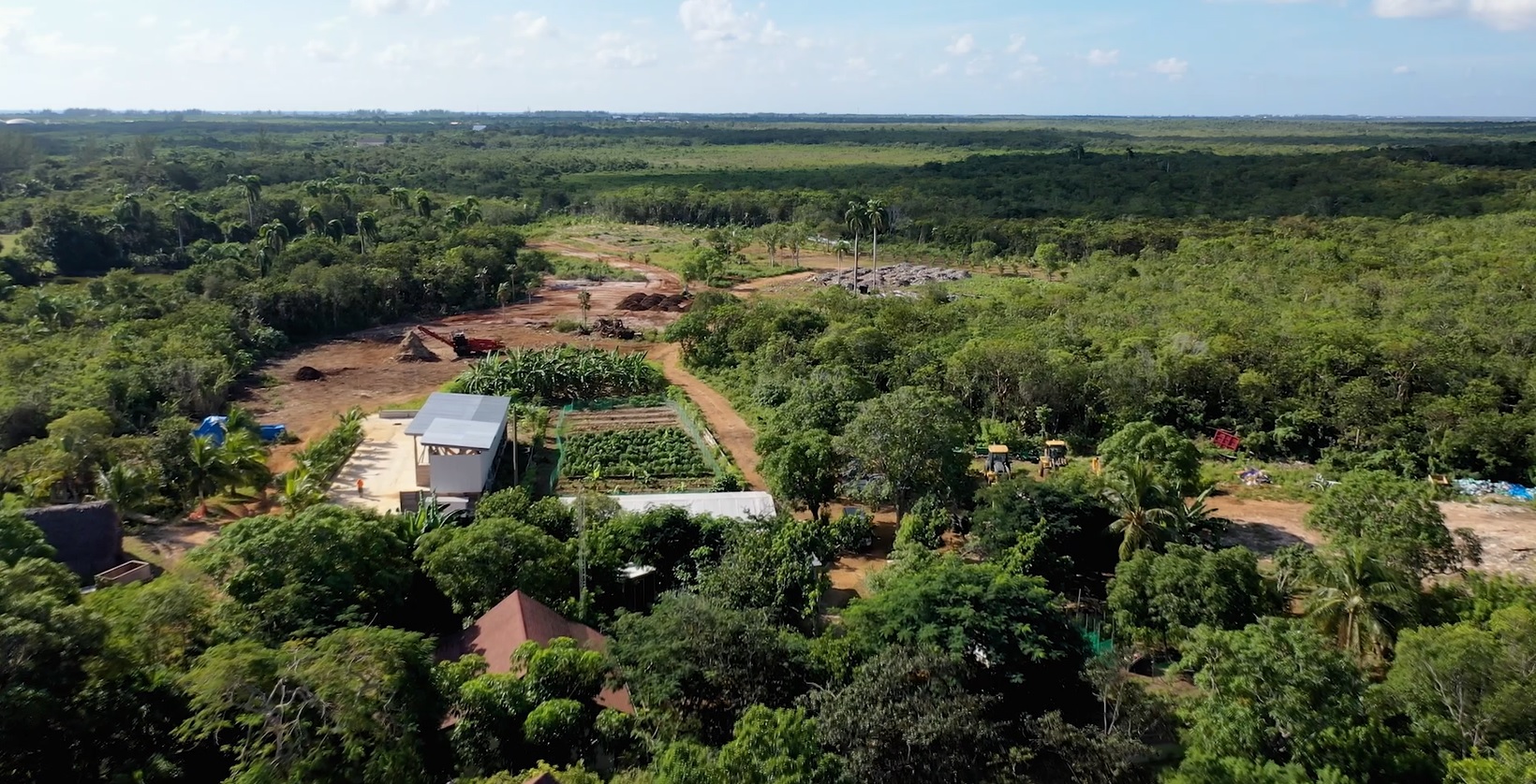 Film review: Beacon Farms, a dream built on rock - Cayman Compass