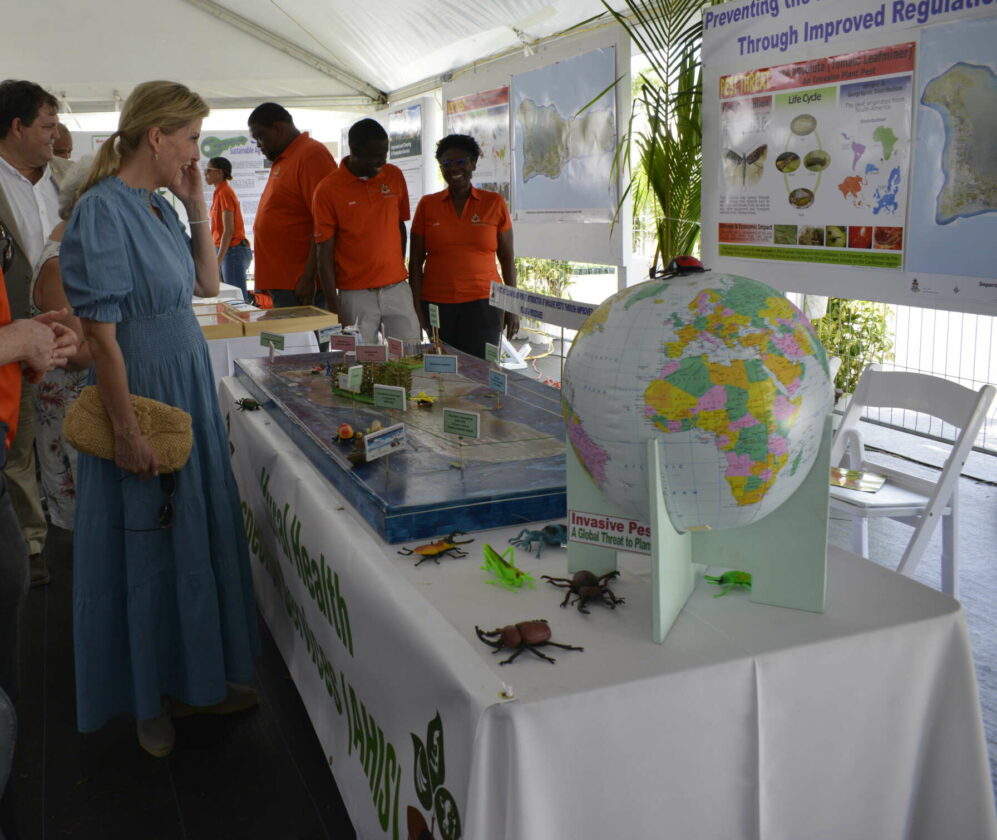 Photo special: Royal approval as thousands flock to Agriculture Show ...