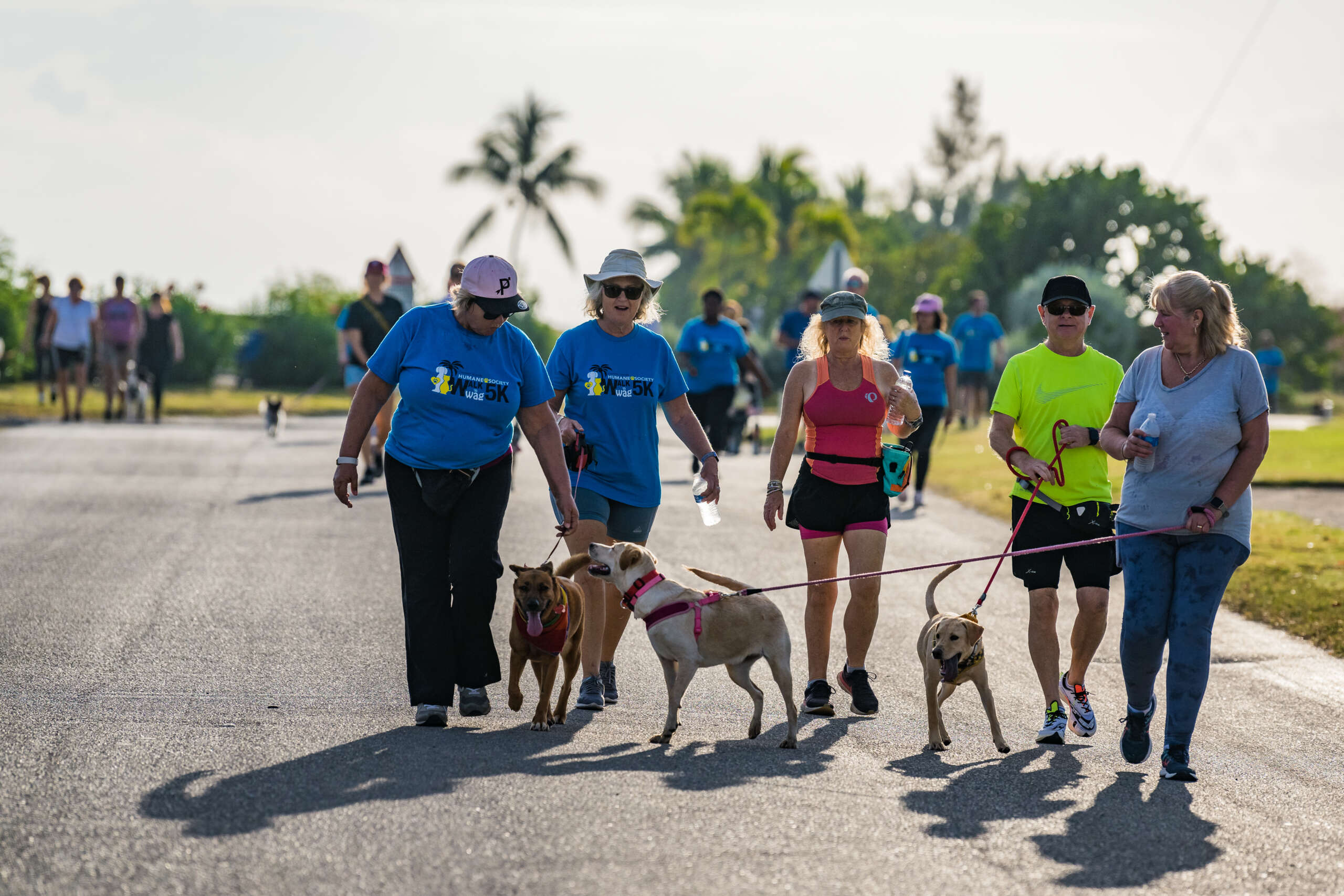 In photos: Lots of wagging and walking at Humane Society fundraiser ...