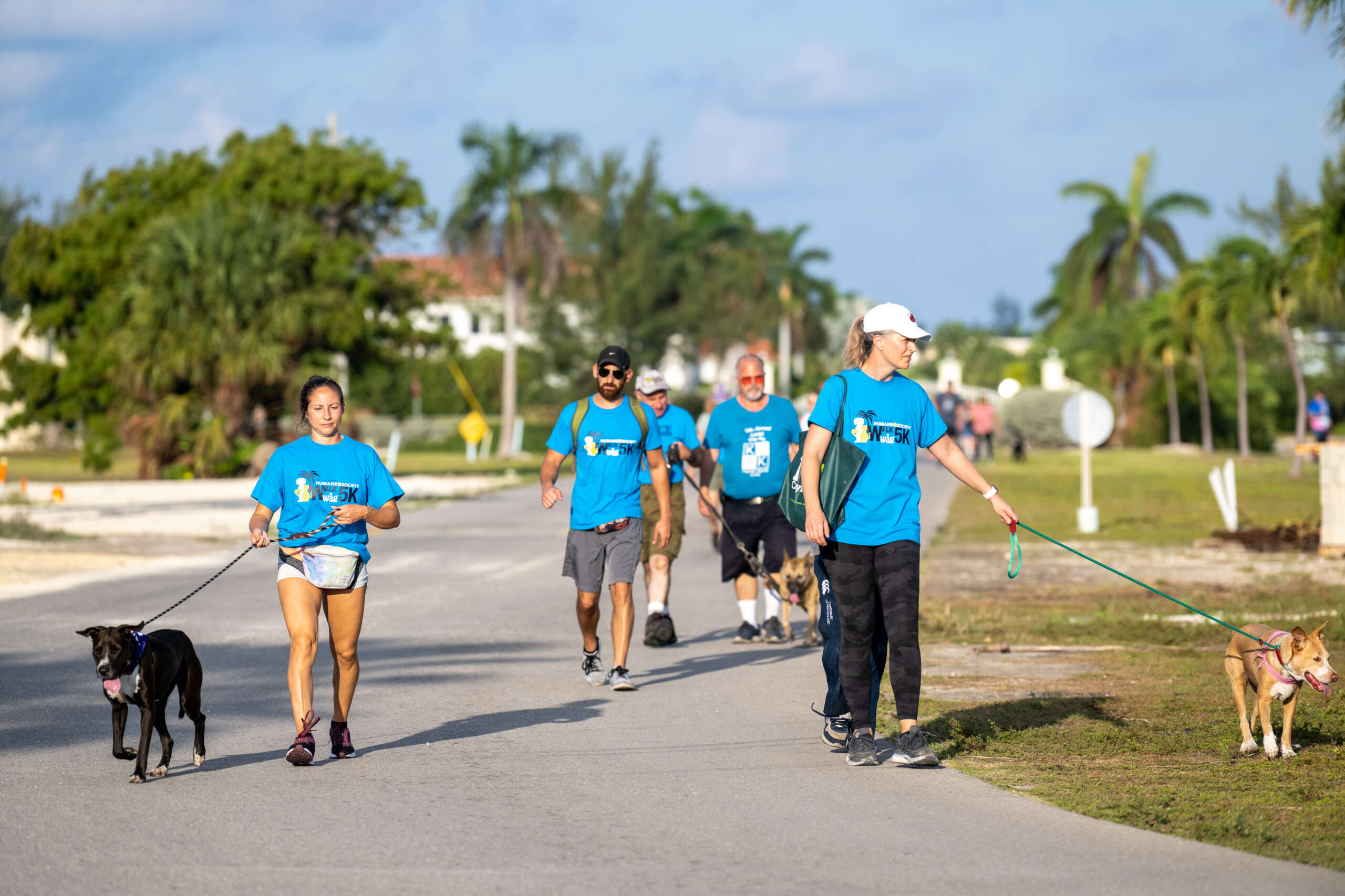 In photos: Lots of wagging and walking at Humane Society fundraiser ...