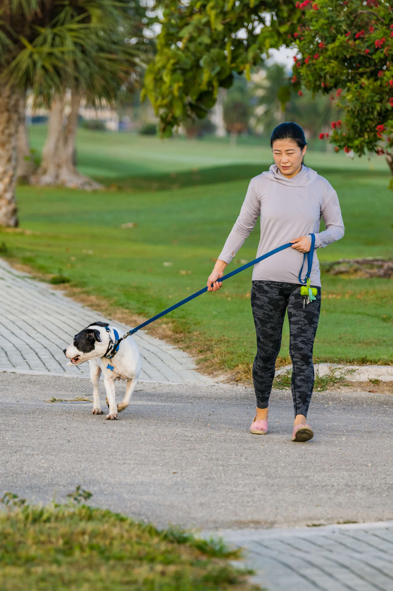 In photos: Lots of wagging and walking at Humane Society fundraiser ...