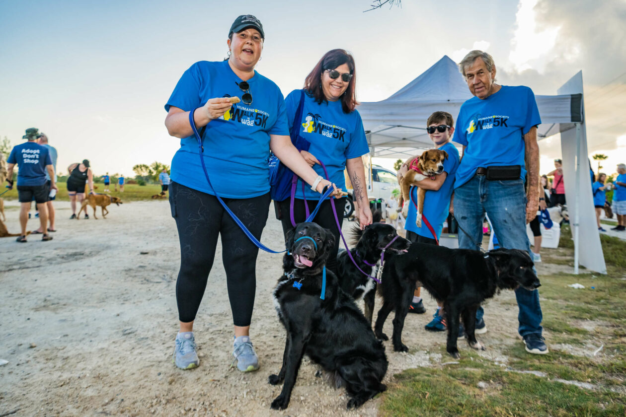 In photos: Lots of wagging and walking at Humane Society fundraiser ...