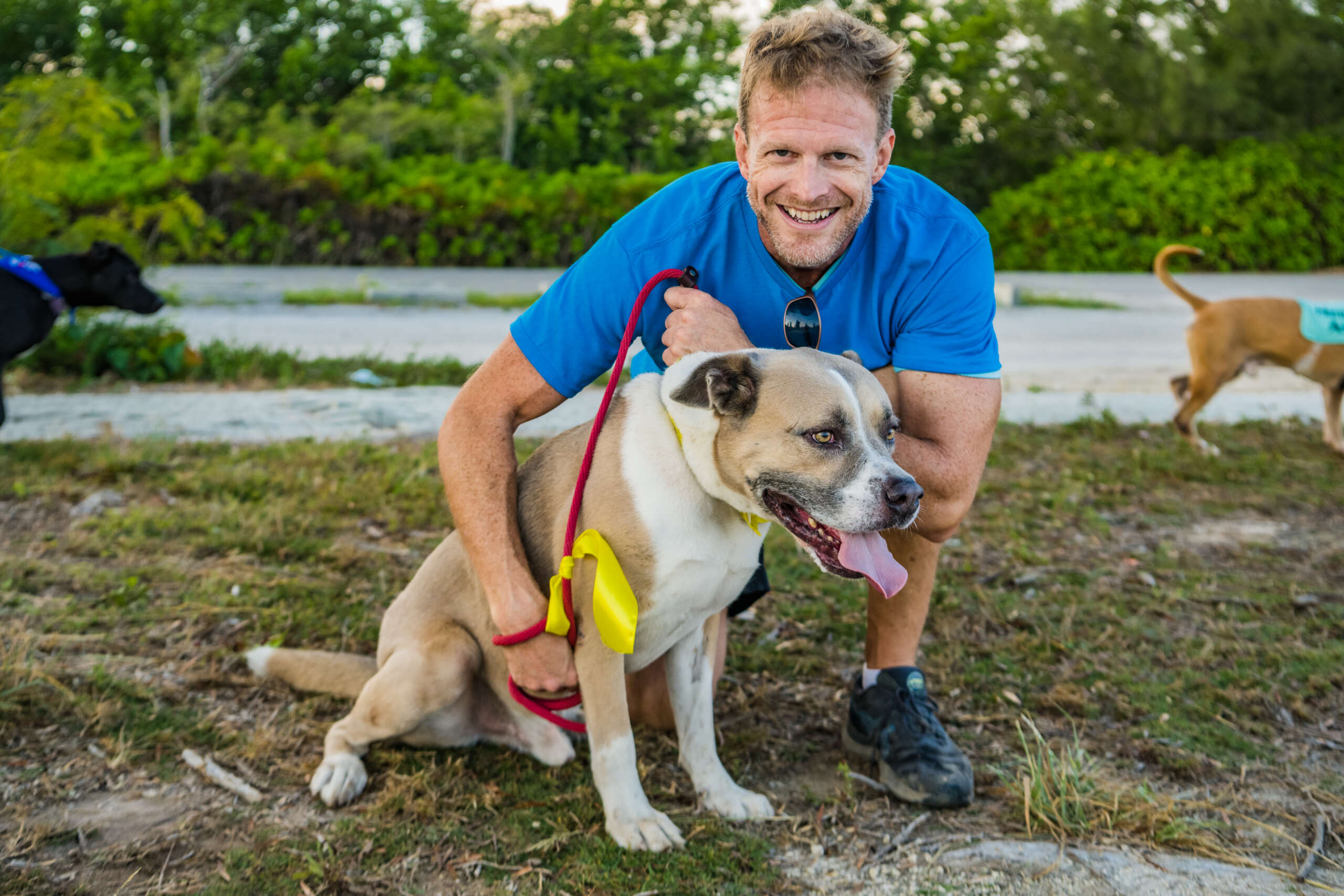 In photos: Lots of wagging and walking at Humane Society fundraiser ...