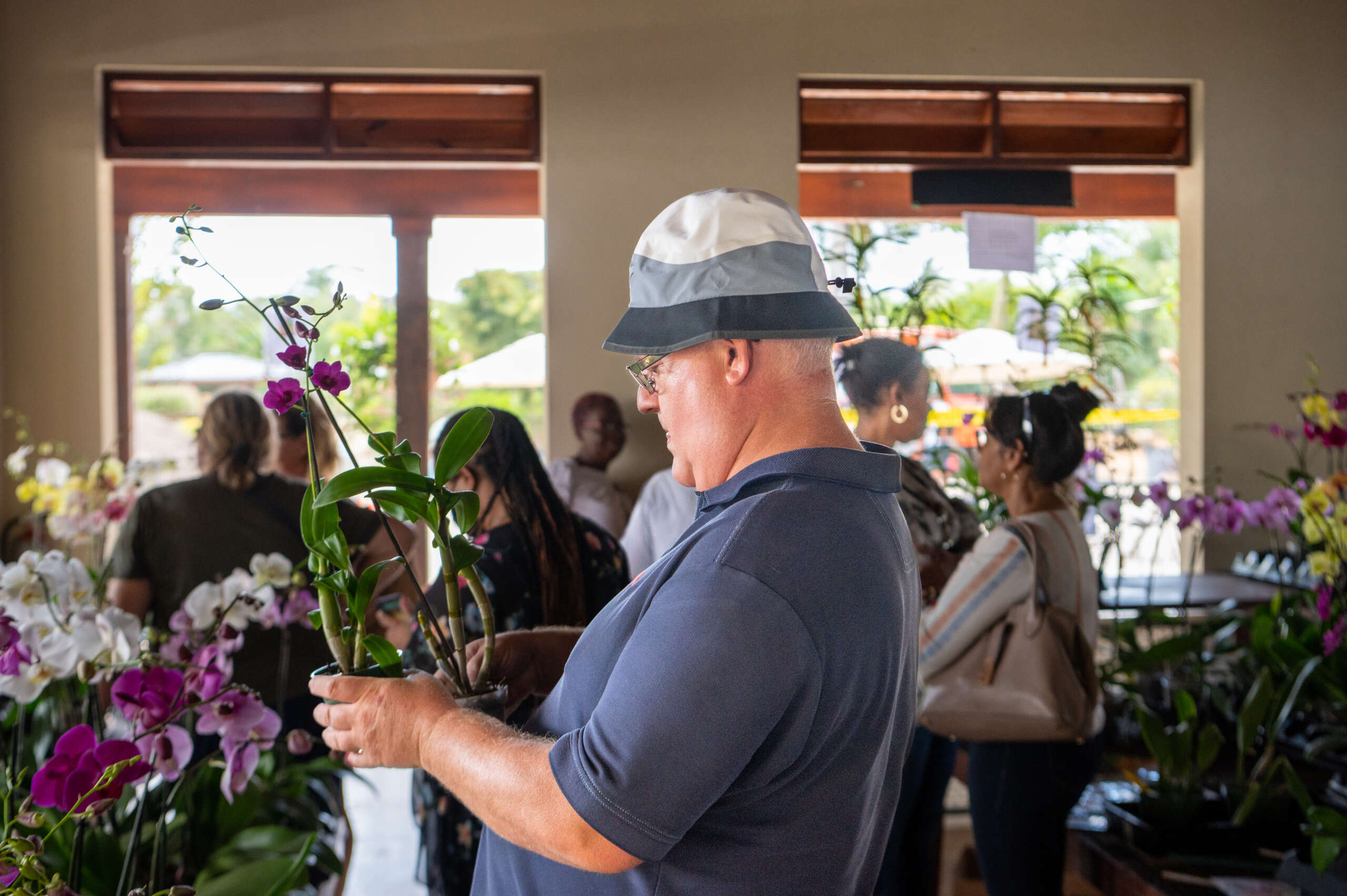 Orchid Show-0011 - Cayman Compass