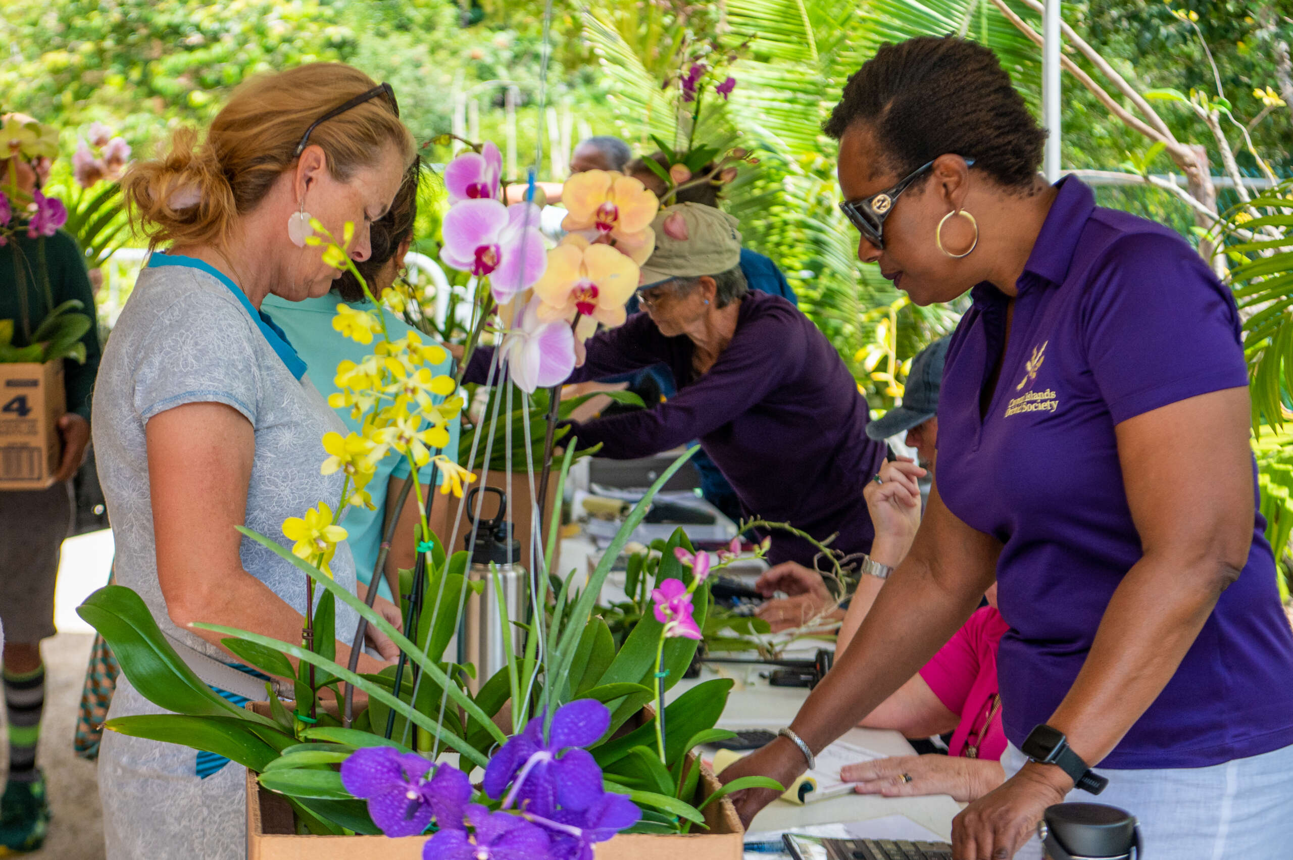 Orchid Show - Cayman Compass