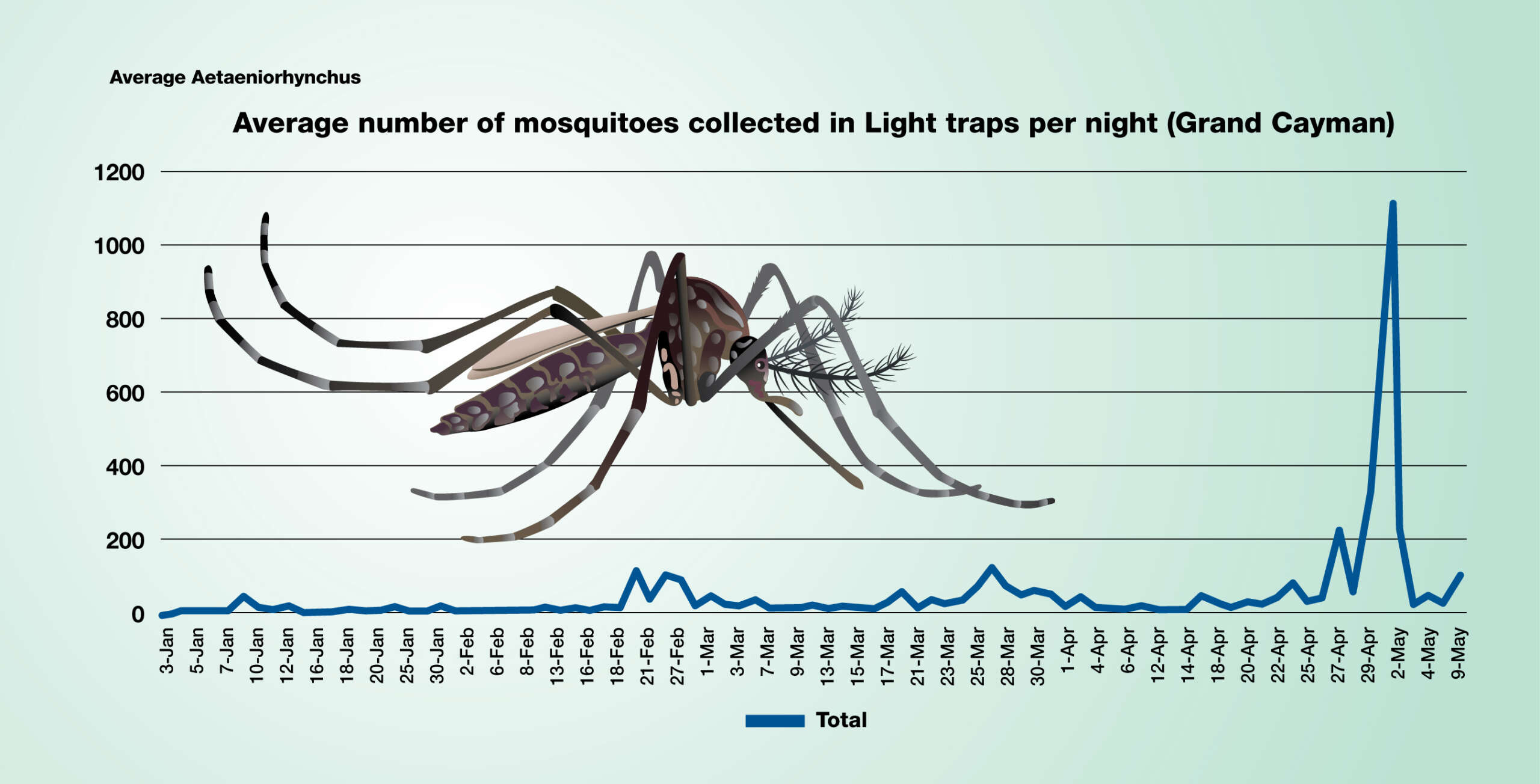 Average number of mosquitoes collected - Cayman Compass