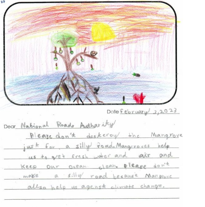 EIA scope expanded for East-West Arterial extension - Cayman Compass