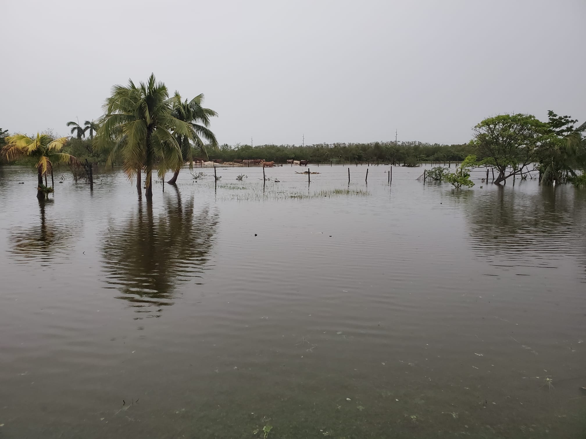 Flooding fears prompt attempt to halt West Bay development - Cayman Compass