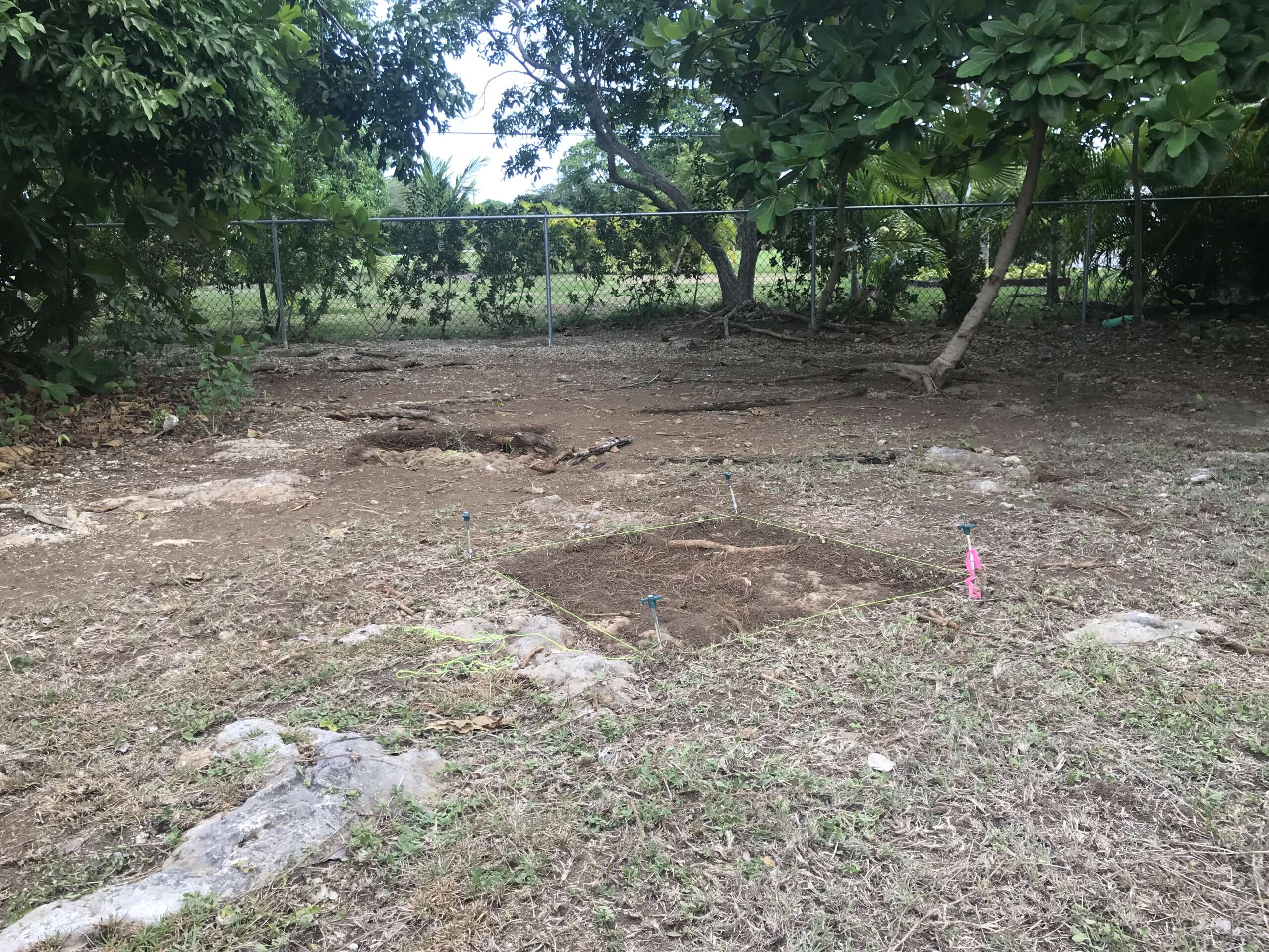 Jackson Wall site1 - Cayman Compass