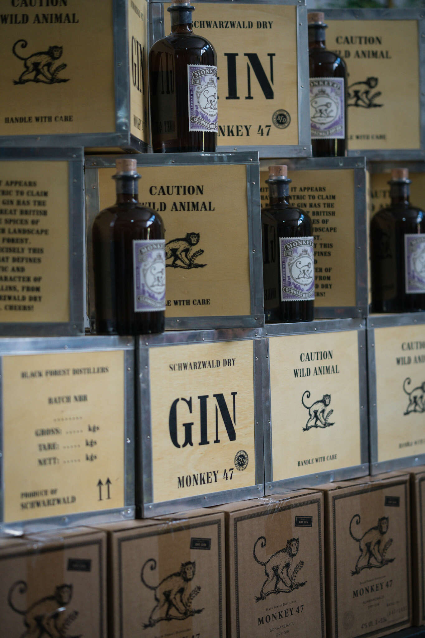 Taste of Cayman 2023– Celebration of Culinary Talent & Contest Winners ...