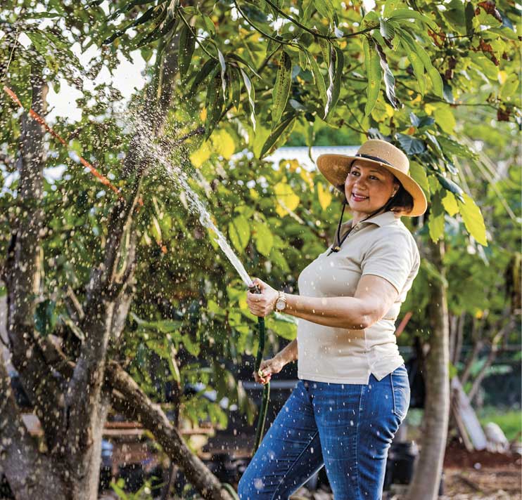 Meet your farmer: Colleen Cummings - Cayman Compass Meet your farmer: Colleen Cummings - Cayman Compass