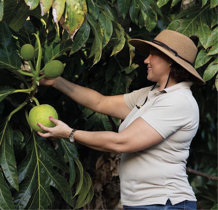 Meet your farmer: Colleen Cummings - Cayman Compass