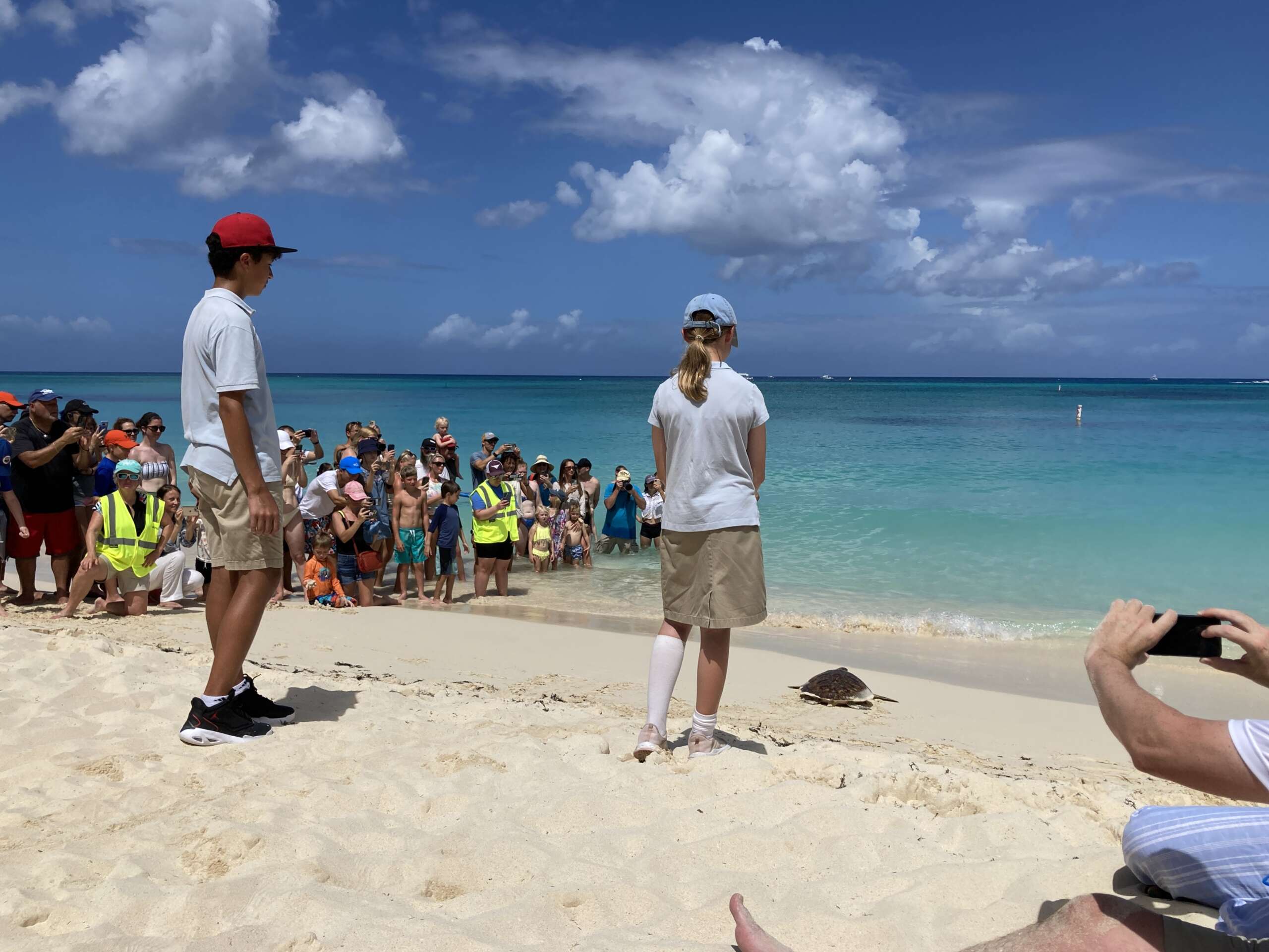 Turtles released on Governors Beach for World Sea Turtle Day - Cayman ...