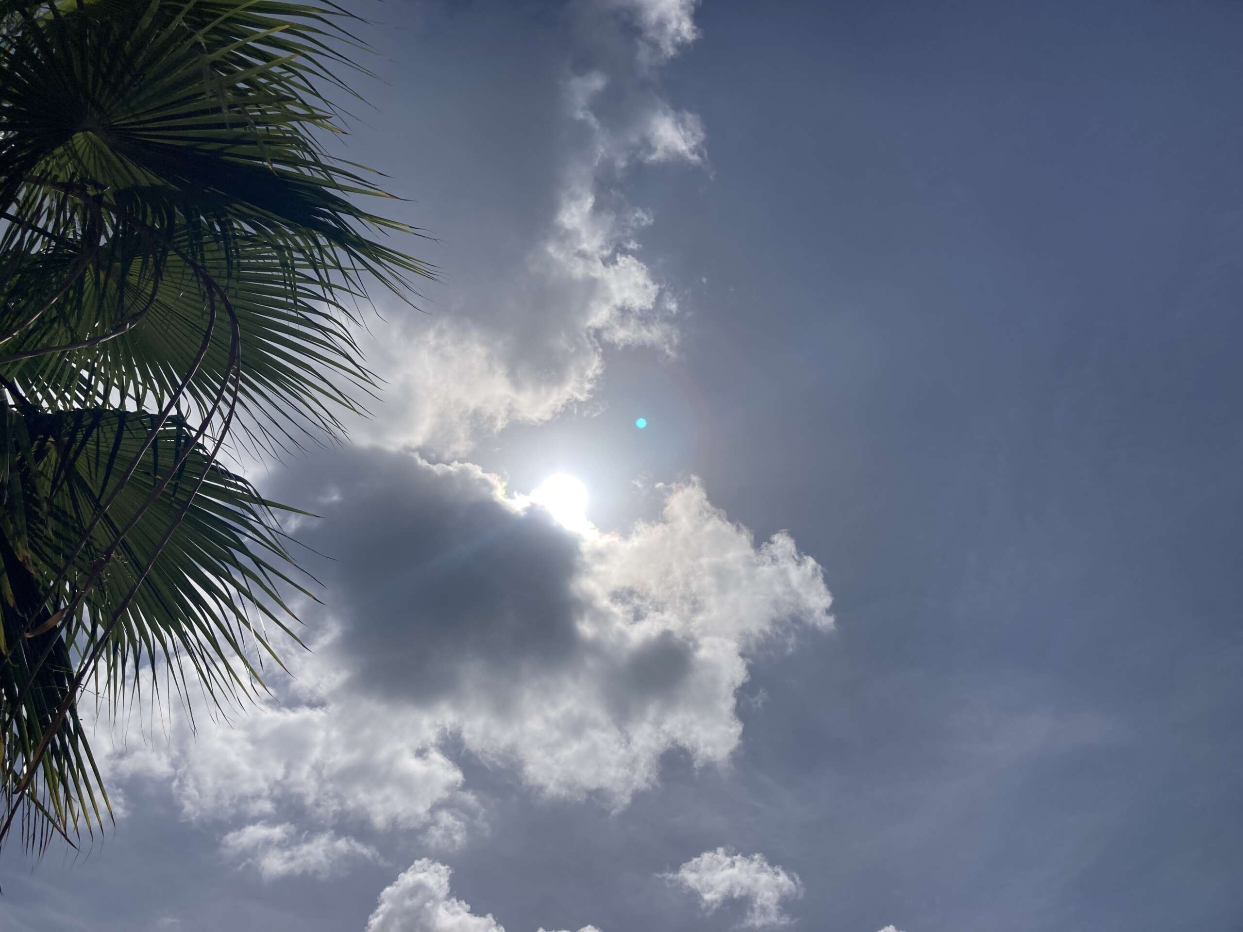 High humidity causes temperature to feel like 105°F - Cayman Compass