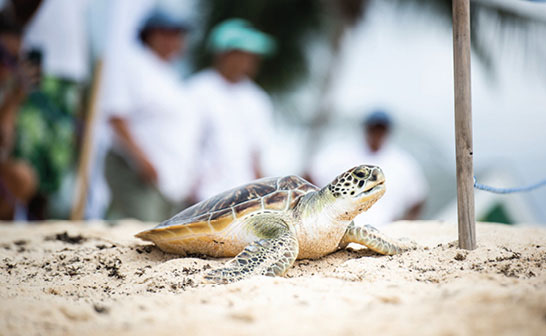 Keeping kids busy - Cayman Compass