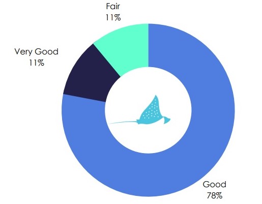 Parrotfish, Nassau groupers on the rebound on Little Cayman reefs ...
