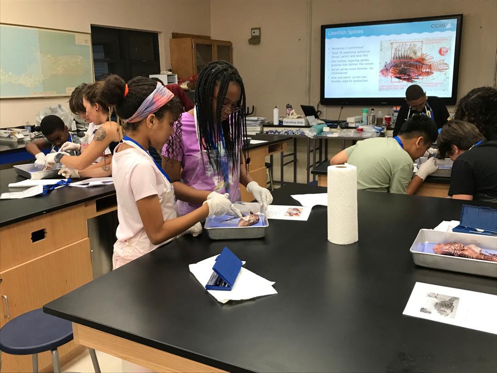 Igniting Curiosity: UCCI's 7th Annual STEM Camp Introduces Lionfish ...