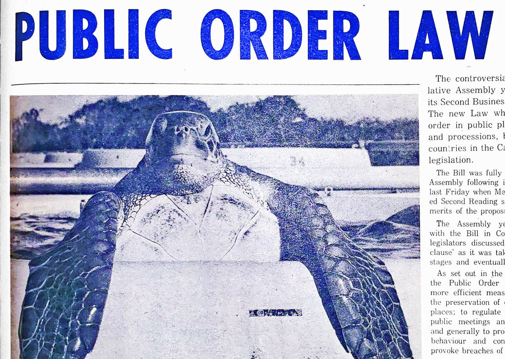 50 years ago: Public Order Law, protecting birds - Cayman Compass