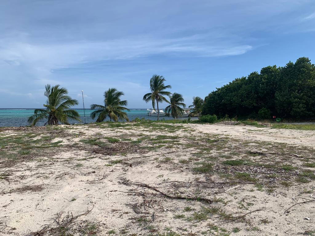 Luxury villas on Little Cayman reopen development discussion - Cayman ...