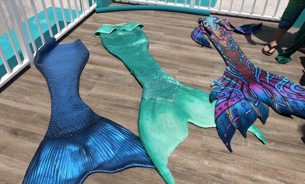 A mermaid's tale - Cayman Compass