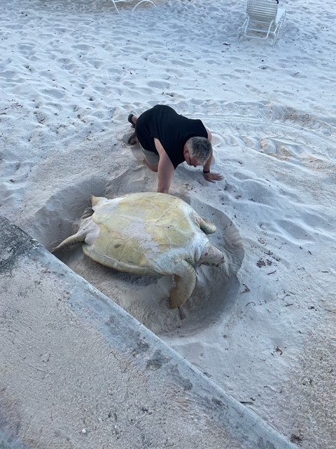 Turtle rescue 'memorable lifetime experience' for US family - Cayman ...