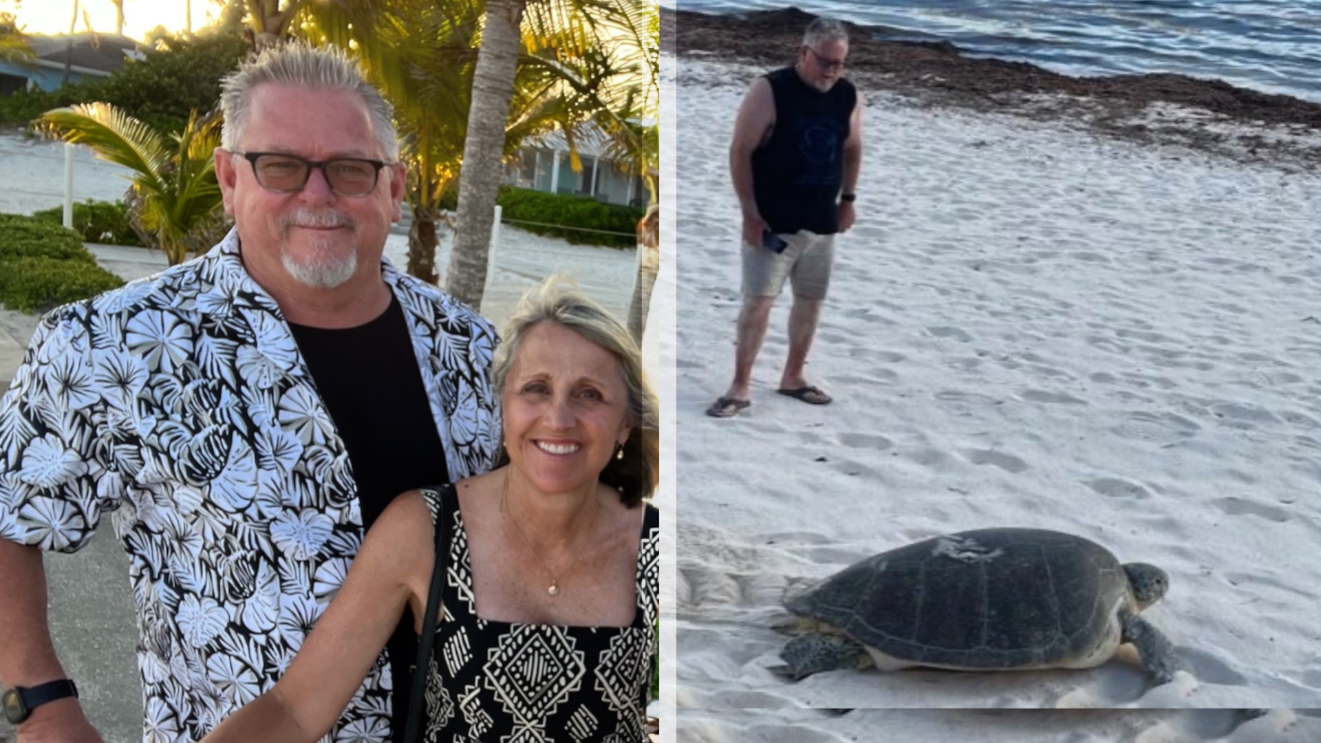 Turtle rescue 'memorable lifetime experience' for US family - Cayman ...