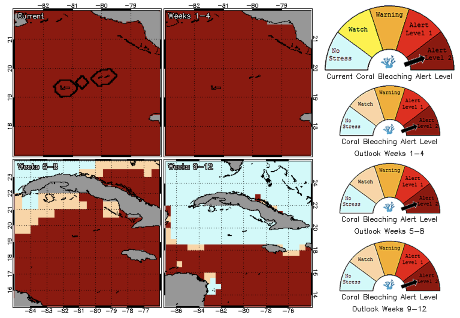 Cayman on high alert for severe coral bleaching - Cayman Compass