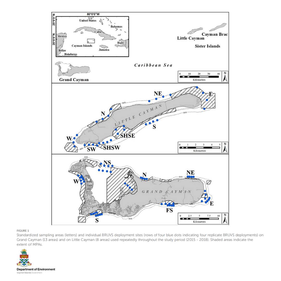 BRUVS areas - Cayman Compass