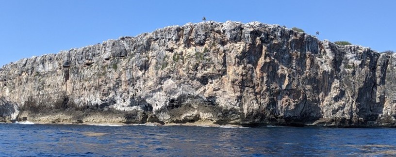 Cayman Brac Book Project 2023-2024 - Cayman Compass