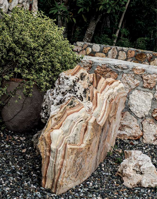 Cottage garden - Cayman Compass