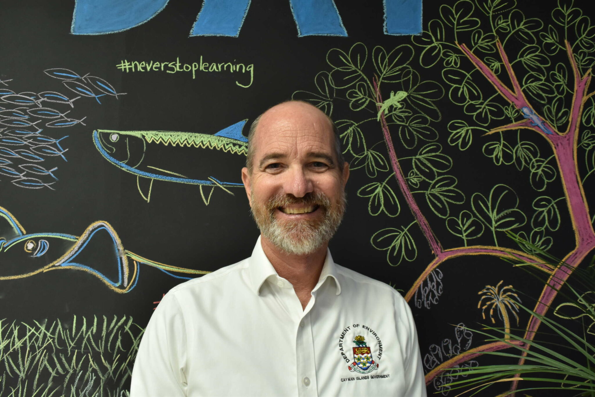 Glass to grass: Can crushed glass help restore Cayman's coastal ...